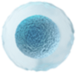 Acepodia | Simply Effective Breakthrough Therapies